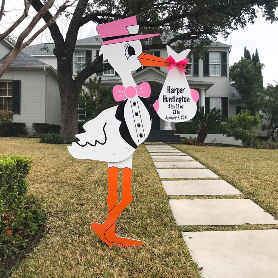 Gallery: Charlie’s Flock: New Baby Stork Signs in Columbia, SC & More